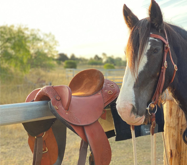 HORSE – Sprenger's Rural Traders