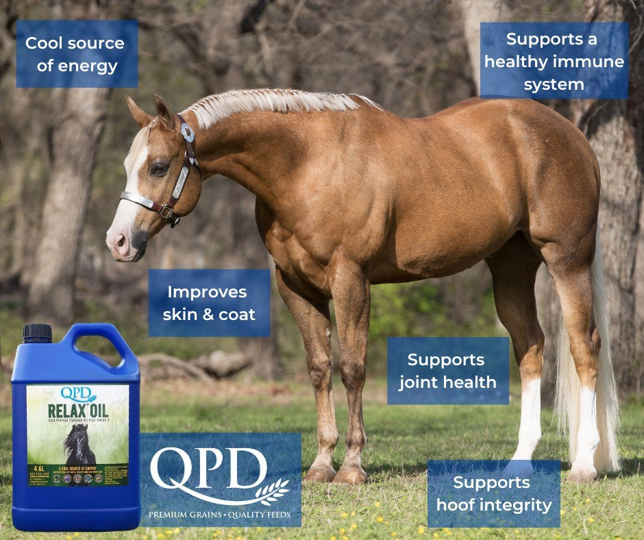 QPD RELAX OIL 4.6LT – Sprenger's Rural Traders