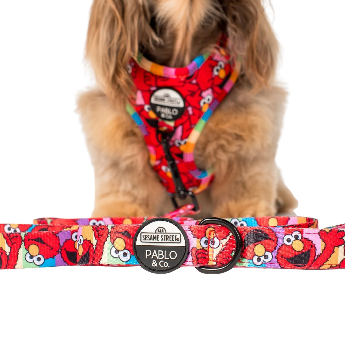 PABLO SESAME STREET ELMO DOG LEASH – Sprenger's Rural Traders