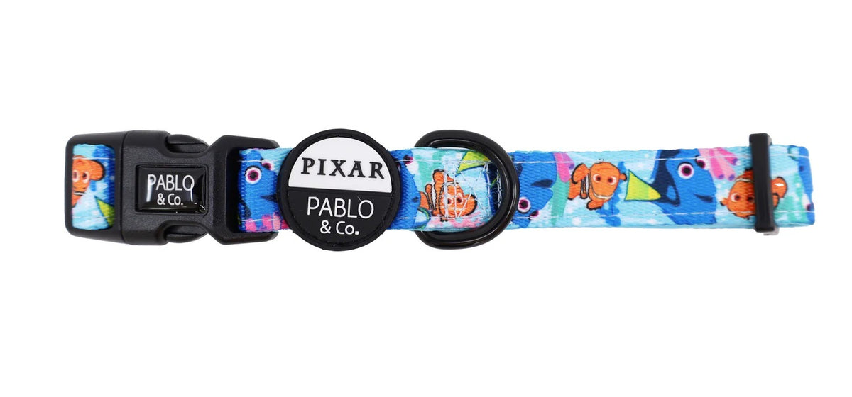 PABLO FINDING NEMO DOG COLLAR – Sprenger's Rural Traders