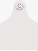 ALLFLEX LAZATAG SML FEMALE STD EAR TAGS WHITE – Sprenger's Rural Traders
