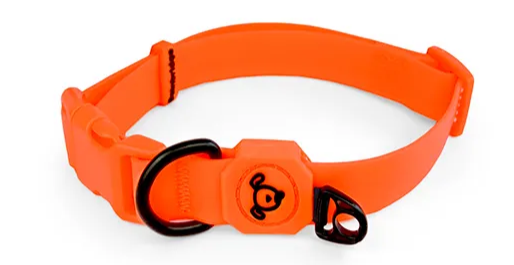 BBG DOG COLLAR WATERPROOF LARGE – Sprenger's Rural Traders